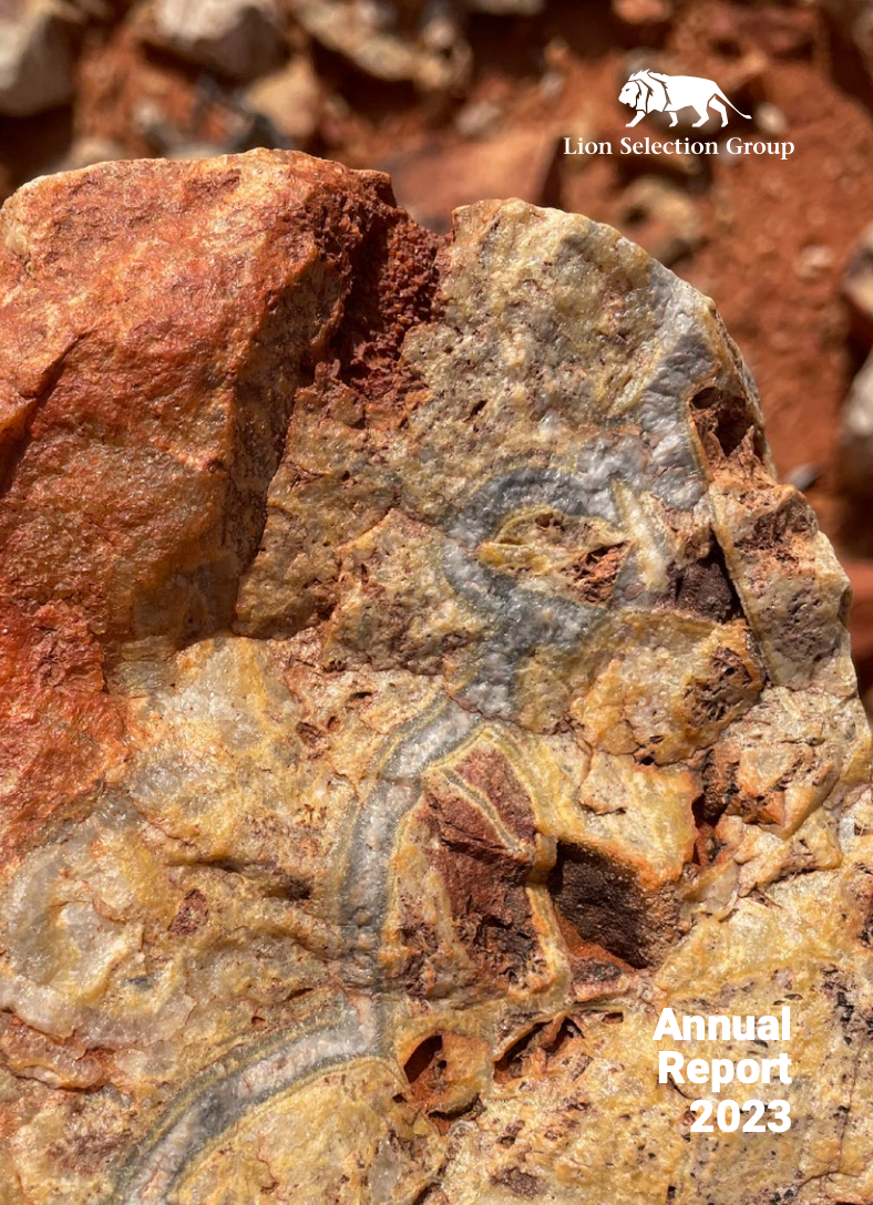 Reports • Lion Selection Group